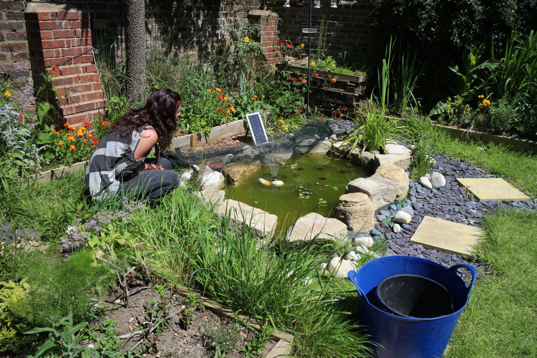 Volunteer Sue helped transform Step Down gardens into therapeutic space ...