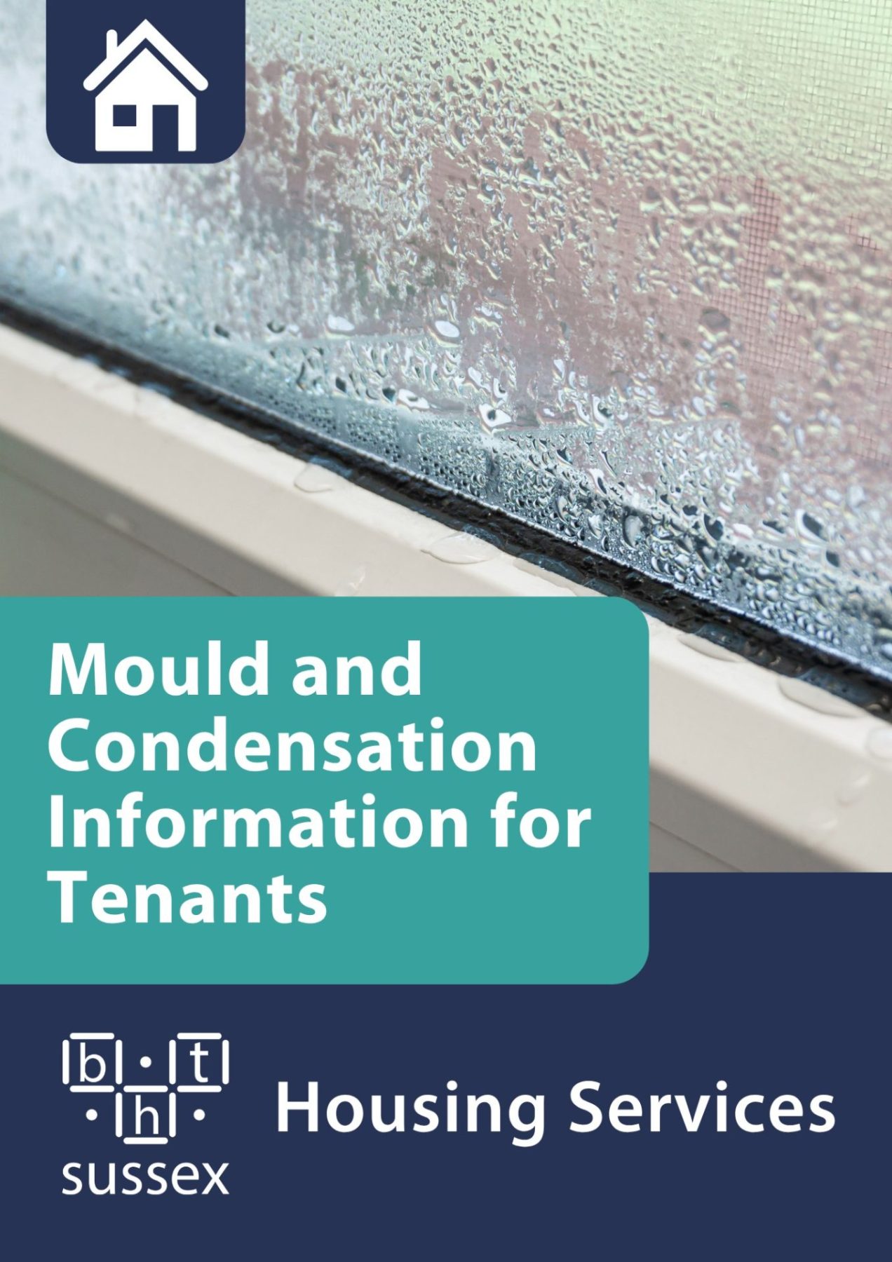 Damp and Mould - BHT Sussex